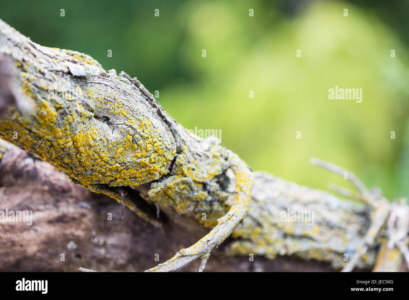Scenes of Nature Stock Photo - Alamy
