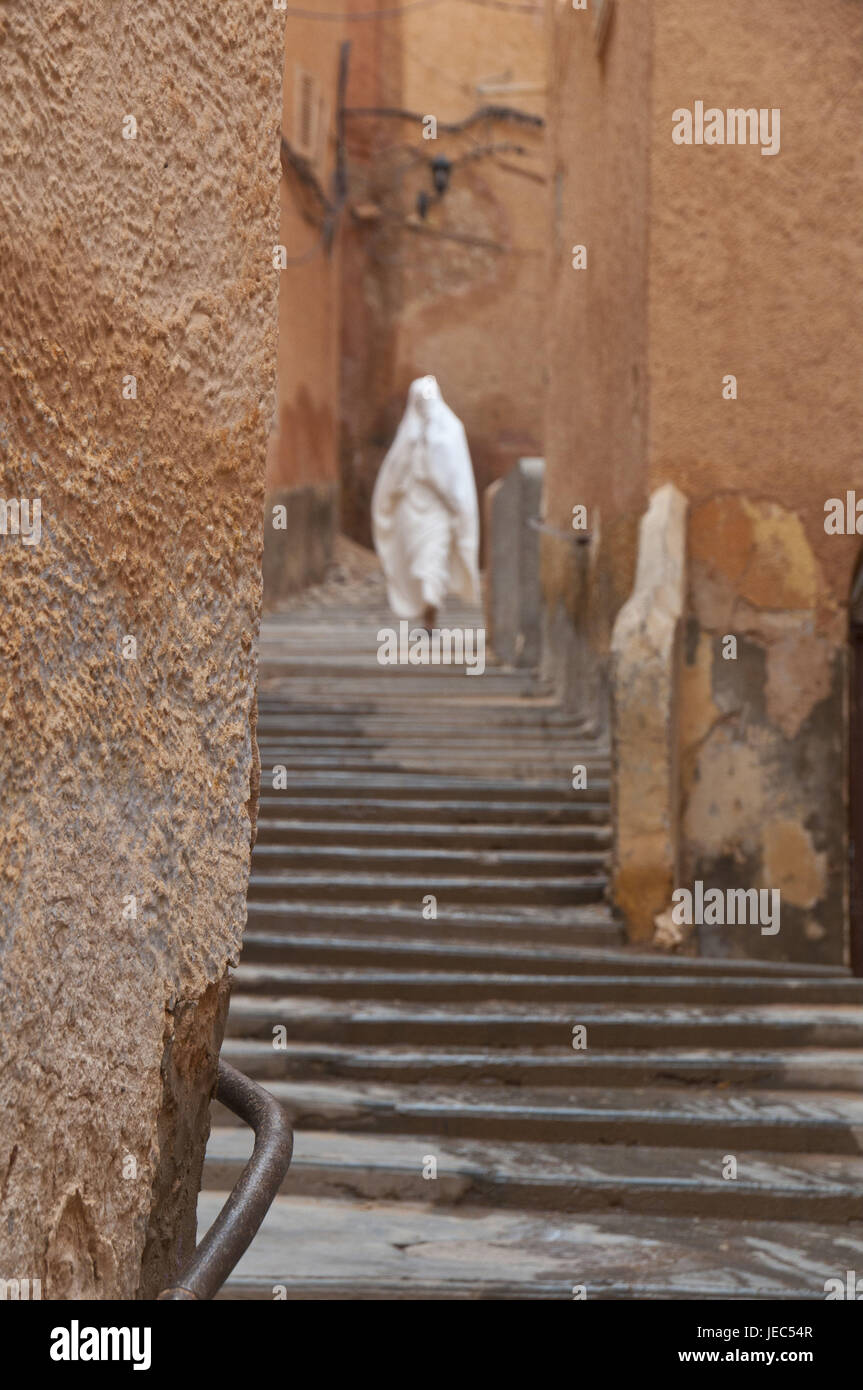 The village el Atteuf in the UNESCO world cultural heritage M'Zab ...