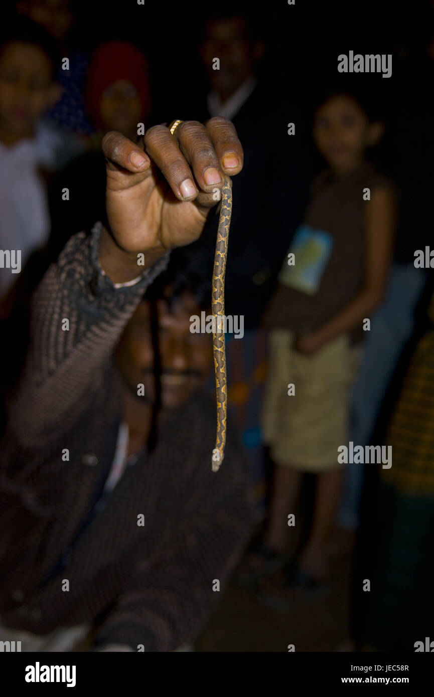 Snake charmer bangladesh hi-res stock photography and images - Alamy