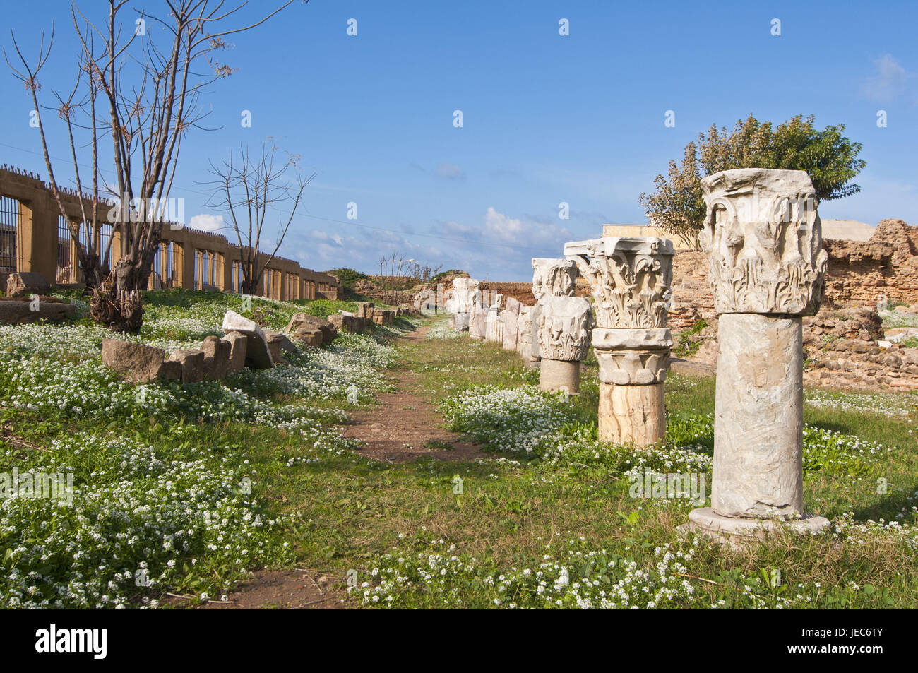 Cherchell Algeria High Resolution Stock Photography and Images - Alamy