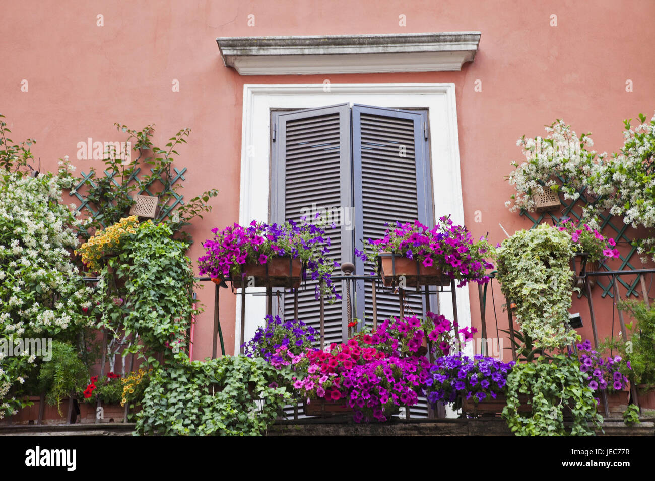 Italy rome balcony flowers hi-res stock photography and images - Alamy