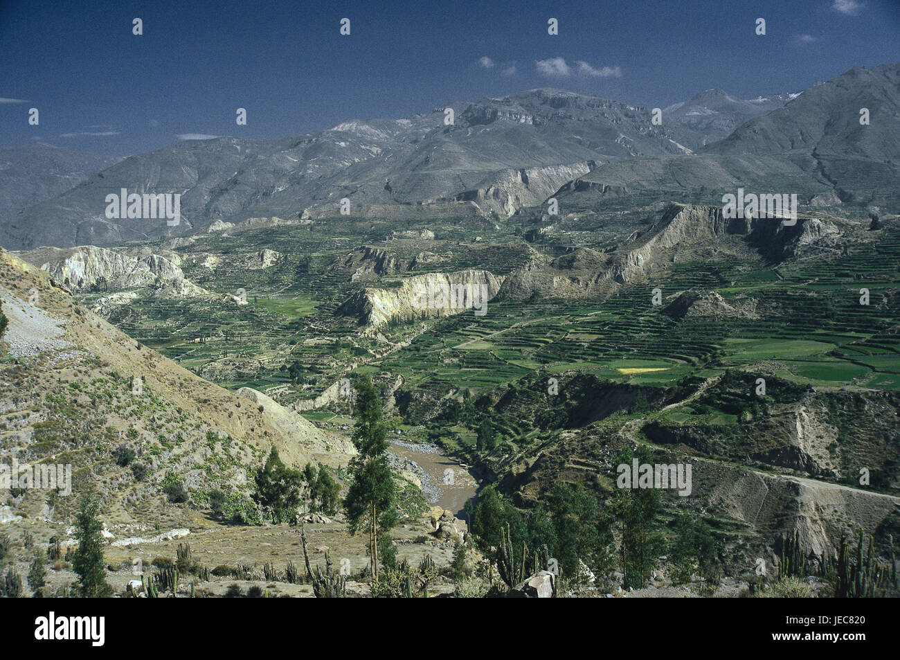Peru, Colca canyon, mountain landscape, terrace fields, South America ...