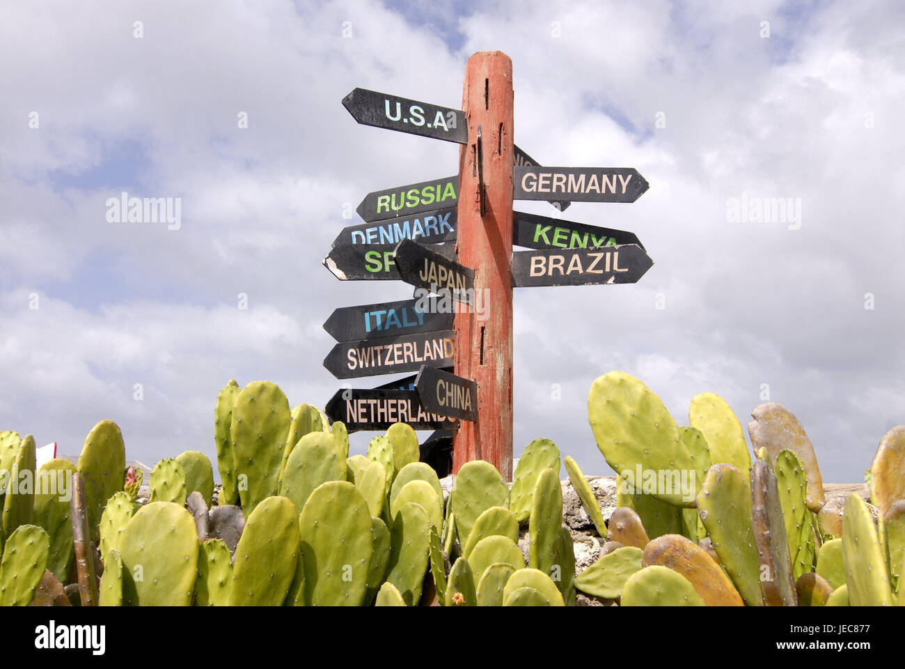 The small Antilles, Barbados, cacti, sign tree, cloudy sky, the ...