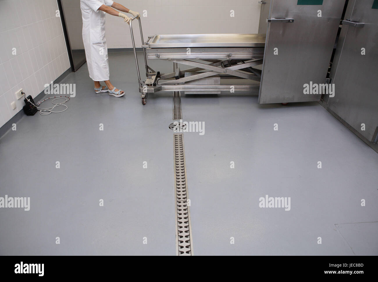 Dissection autopsy High Resolution Stock Photography and Images - Alamy