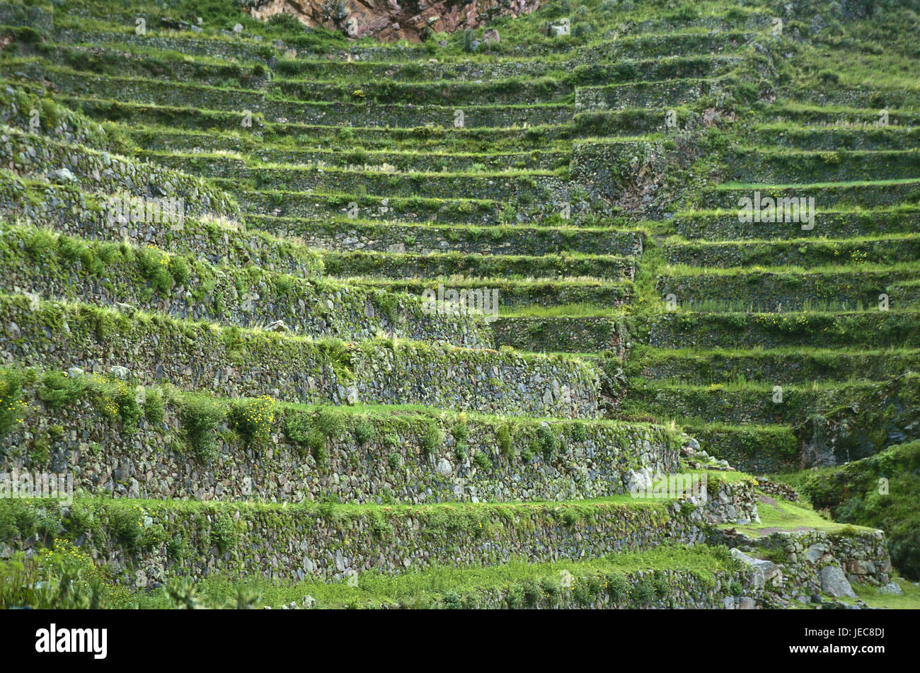 Peruvian Terrace Farming