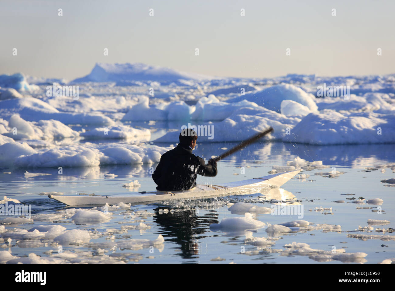 Greenland, Disco Bay, Ilulissat, Inuit, kayak, floes, back view, no ...