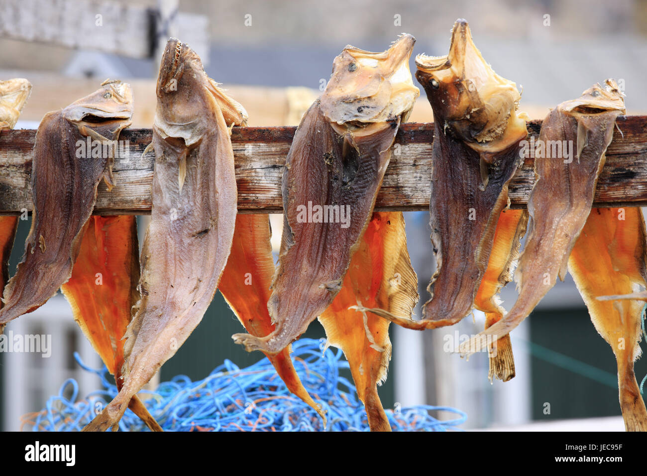 Greenland, Uummannaq, wooden rack, detail, dry fish, hang, Northern ...