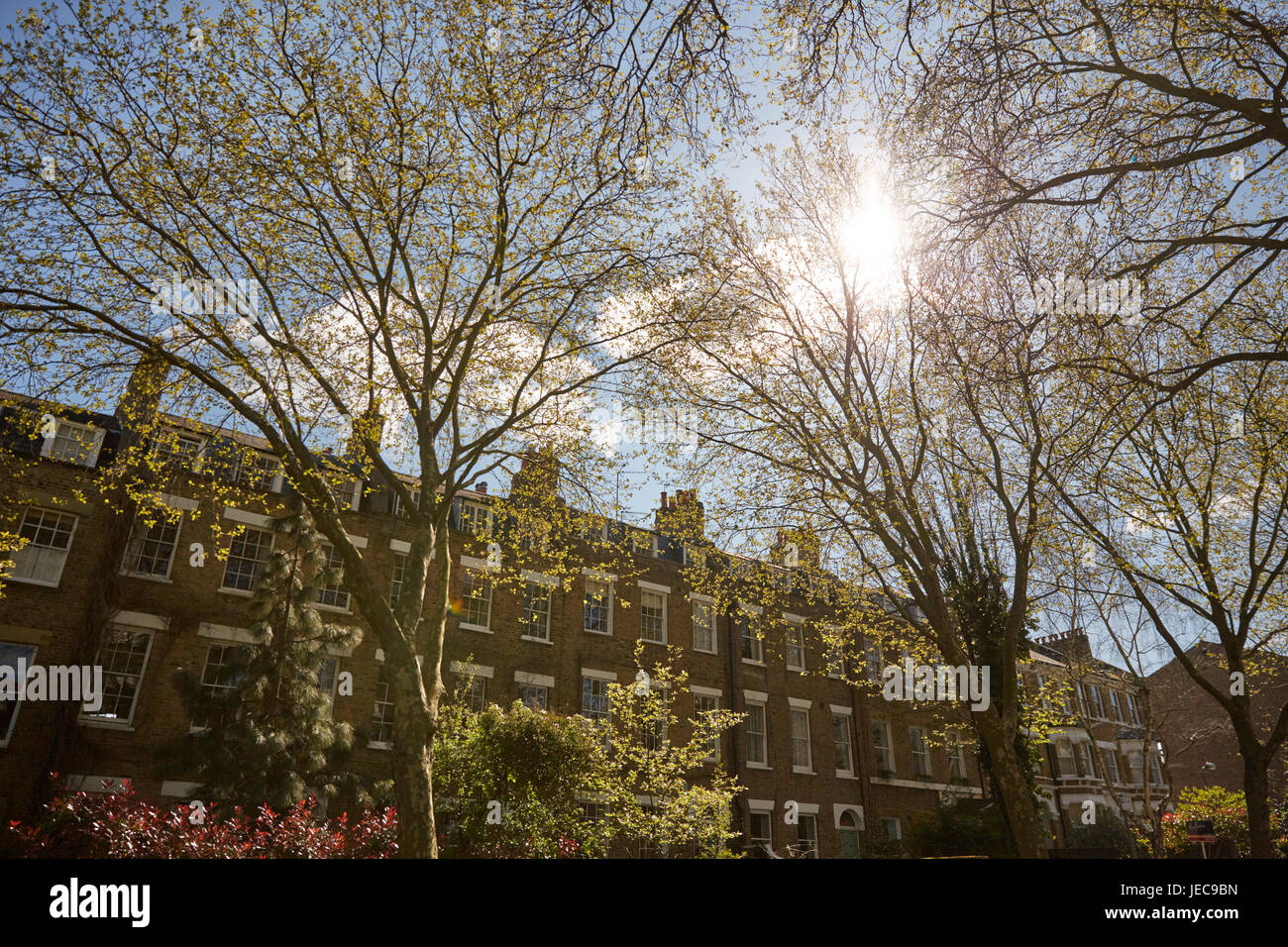 Camberwell Grove, London, UK Stock Photo - Alamy