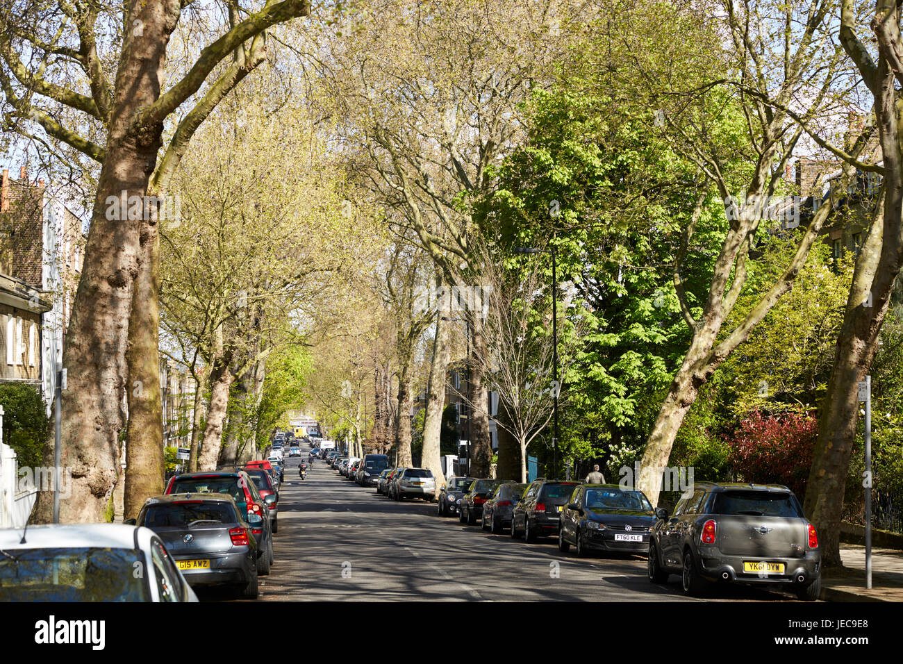 Camberwell grove hi-res stock photography and images - Alamy