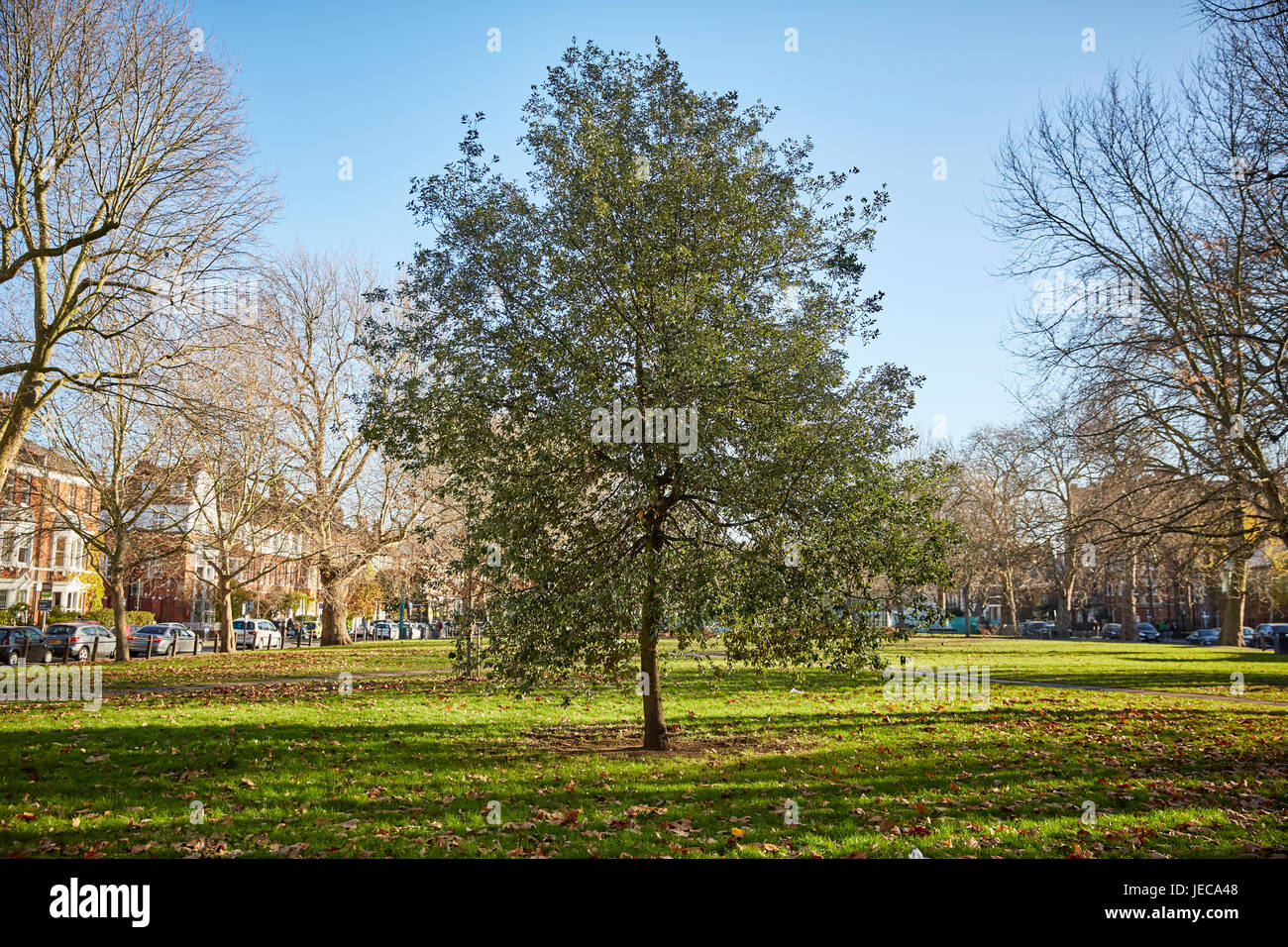 Brook street london street sign hi-res stock photography and images - Alamy