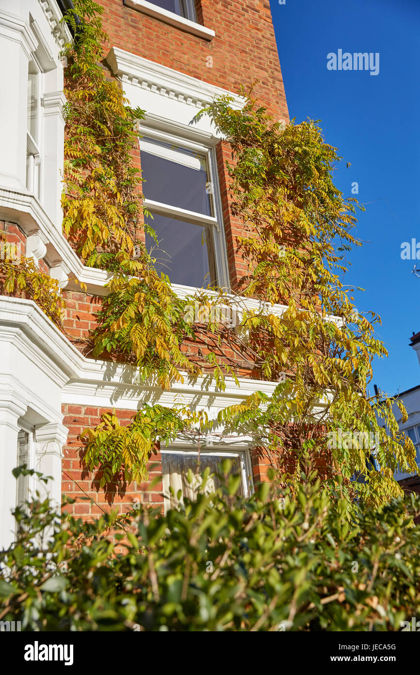 Brook street london street sign hi-res stock photography and images - Alamy