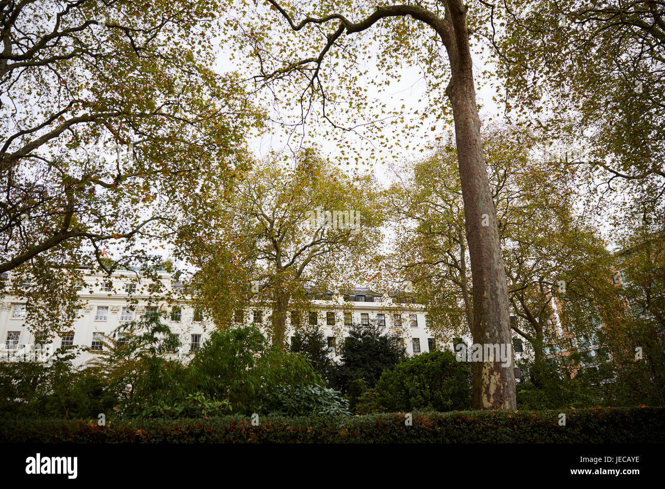 Hyde Park Square, London, UK Stock Photo - Alamy