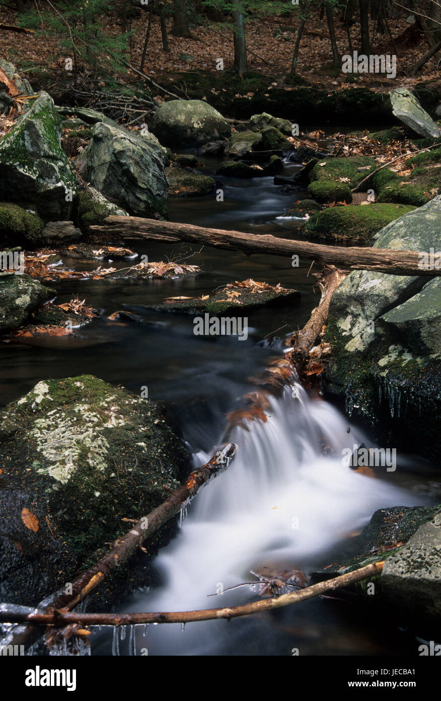 Jim Brook, Roaring Brook Nature Center, Connecticut Stock Photo - Alamy