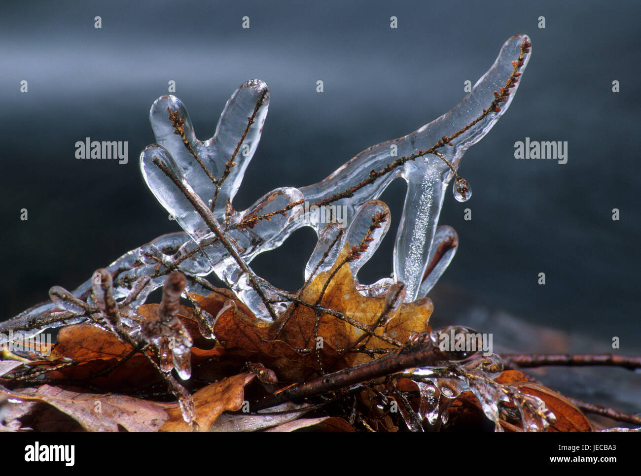 Ice along Jim Brook, Roaring Brook Nature Center, Connecticut Stock ...