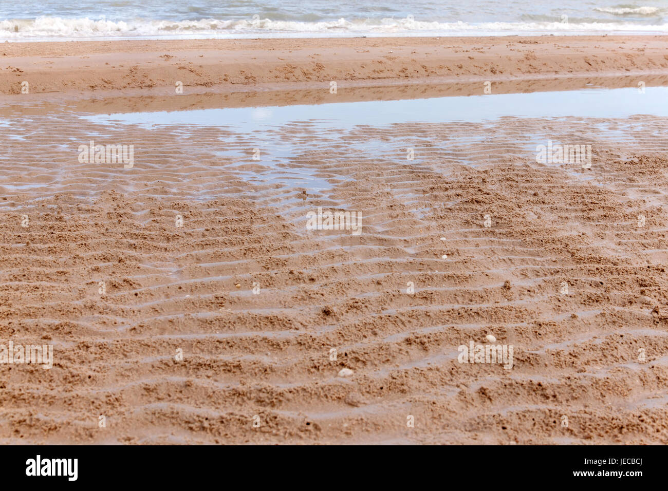 ripple sand in nature on the beach in summer Stock Photo - Alamy