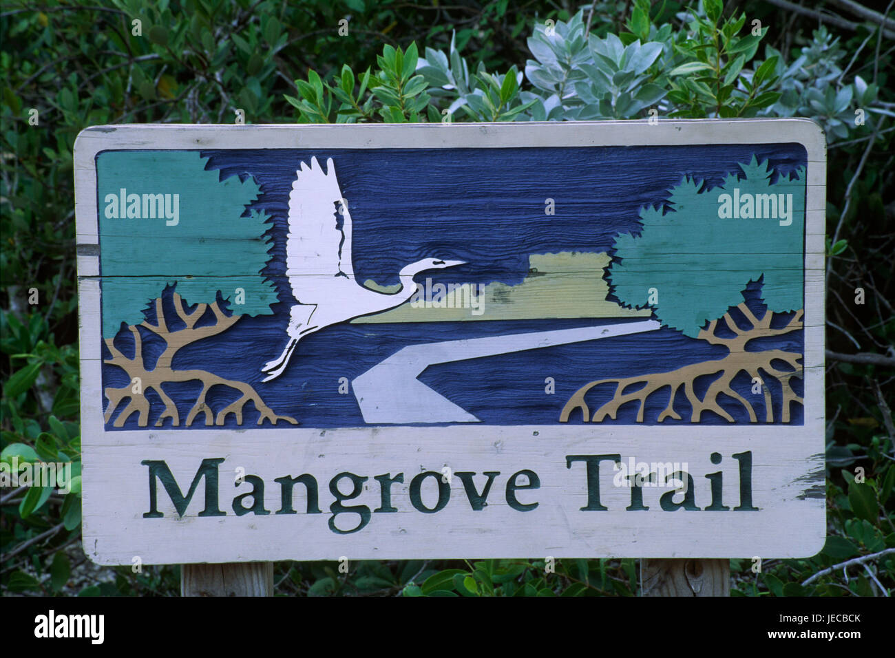 Mangrove Trail sign, John Pennekamp Coral Reef State Park, Florida ...
