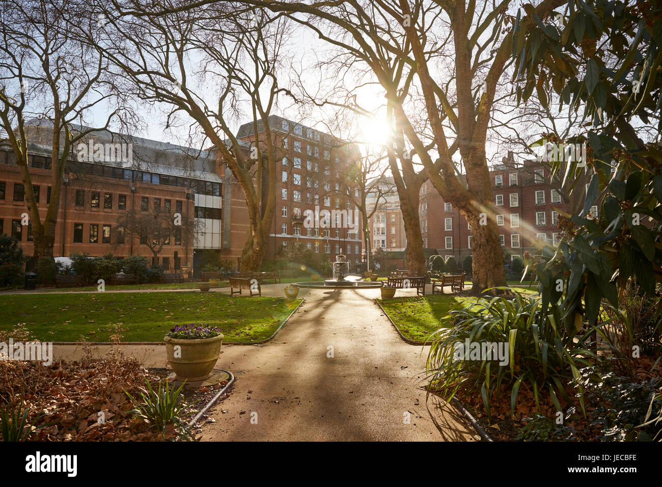 Ebury Square Gardens, London, UK Stock Photo - Alamy