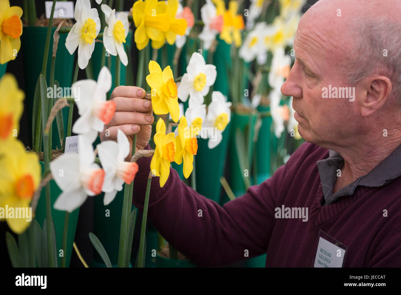 Coughton Court, Alcester, Warwickshire, UK. 15th April 2017. Pictured ...