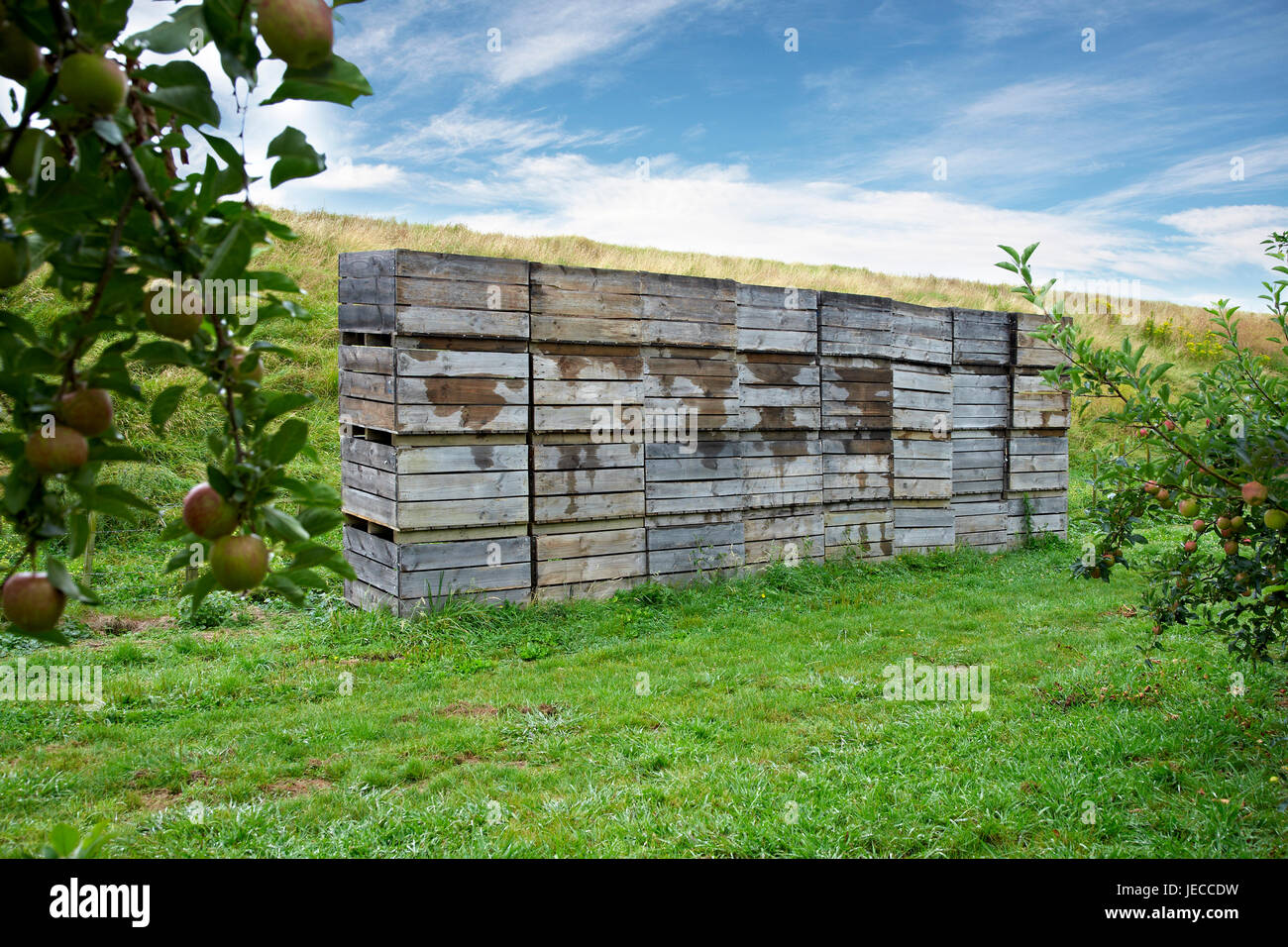 Empty Fruit Crates High Resolution Stock Photography and Images - Alamy