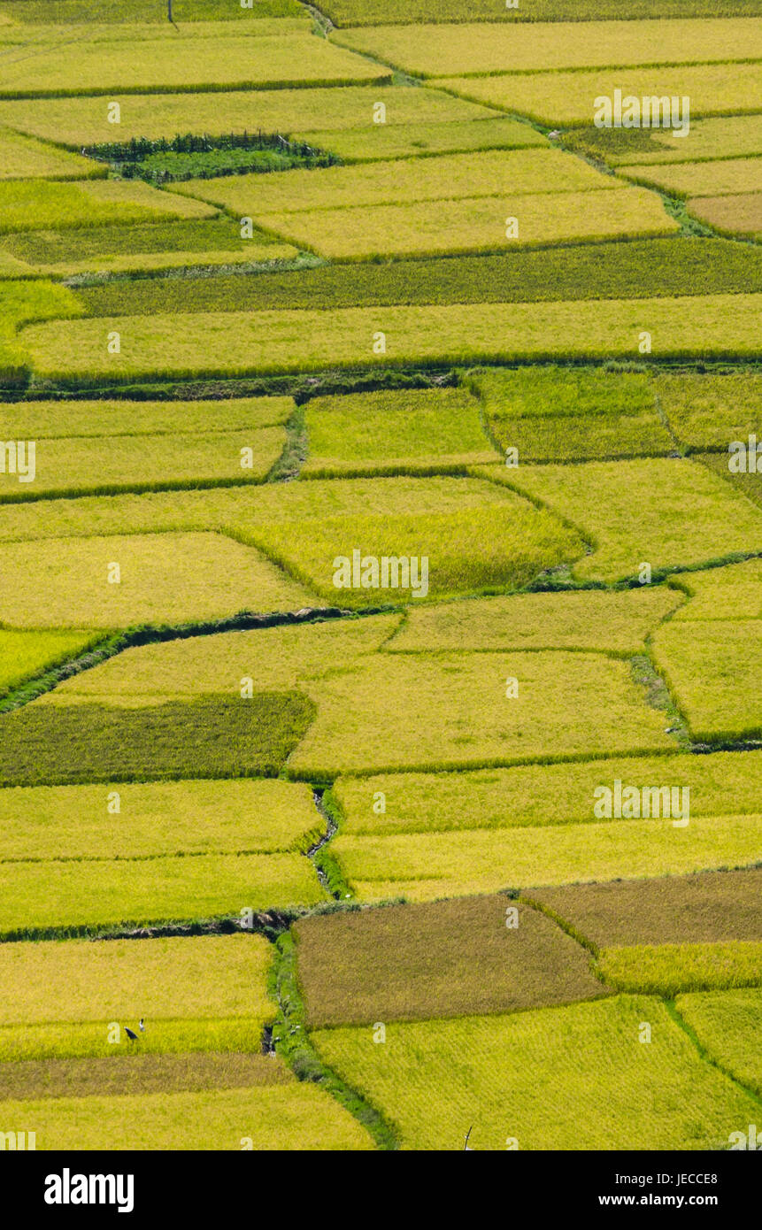 Creative patterns and textures of rice fields in Himalayan region Stock ...