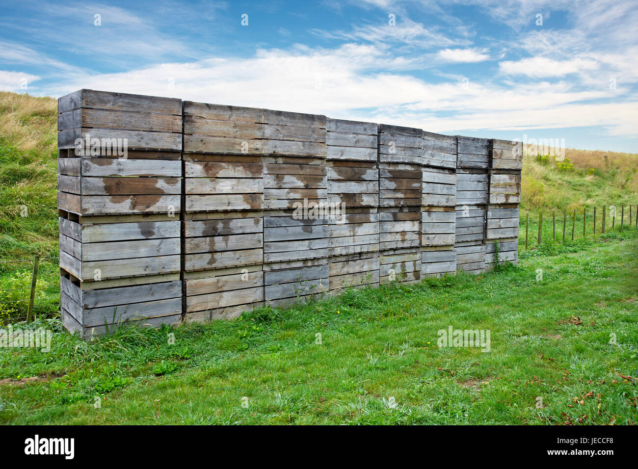 Stacked apple picking crates in the orchard Stock Photo - Alamy