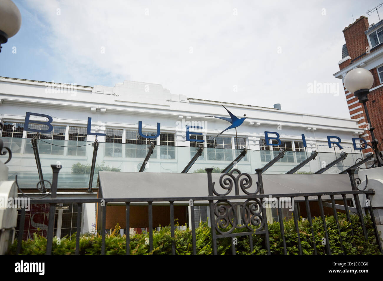 Bluebird, London, UK Stock Photo - Alamy