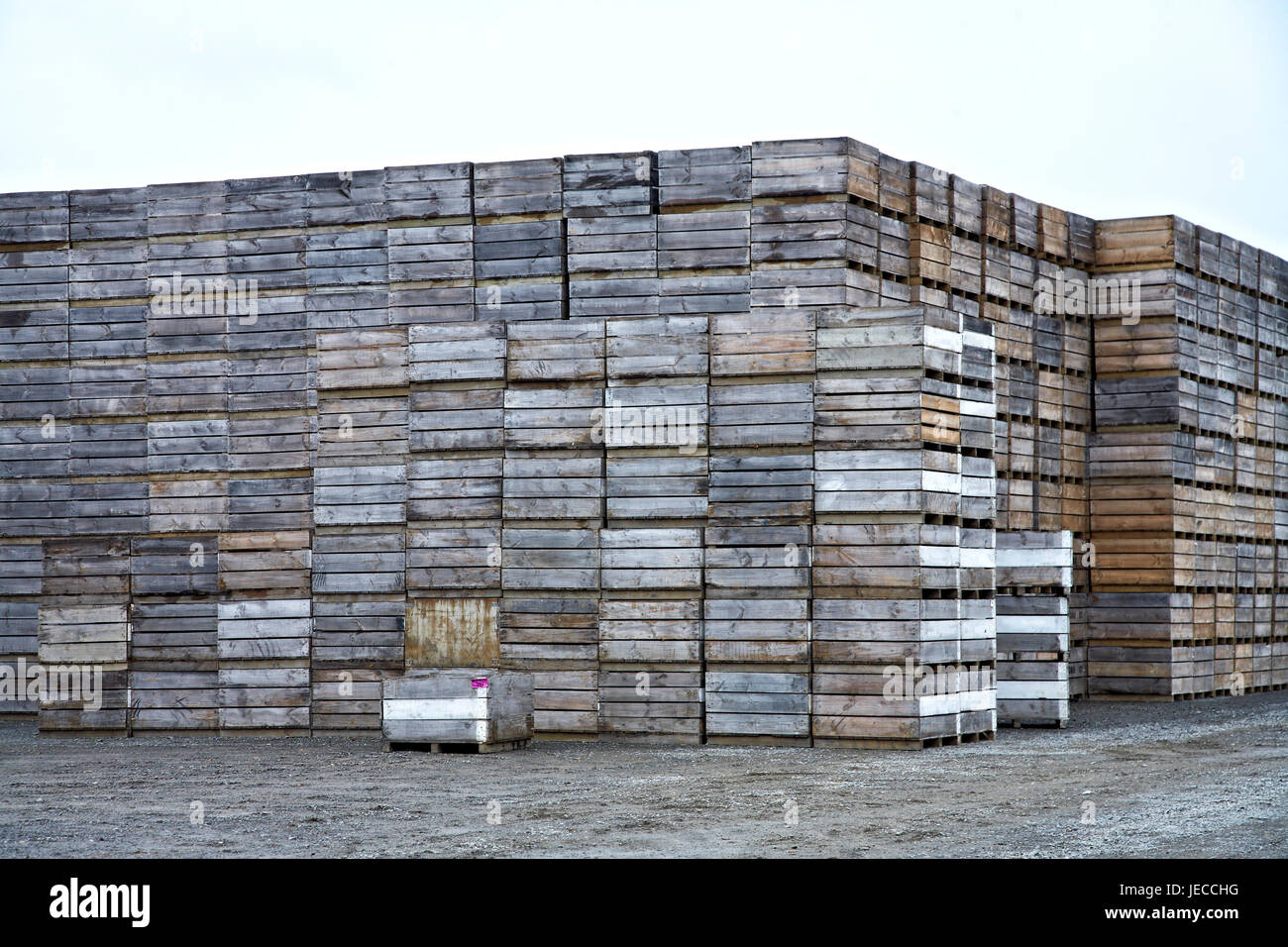 Stacked apple picking crates in the orchard Stock Photo - Alamy