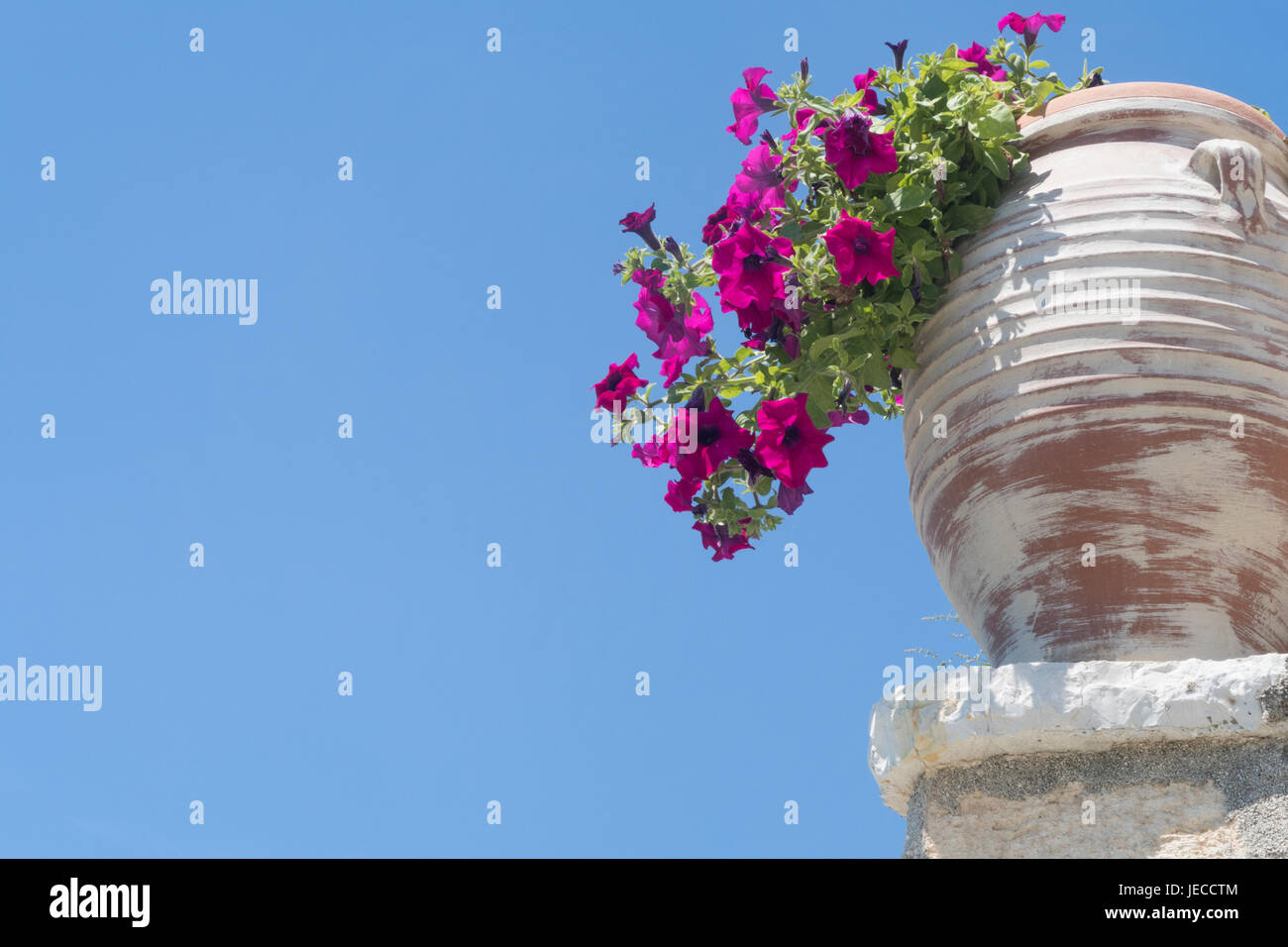 Colour Flowers Growing In Vase Against Blue Sky In Corfu Greece Stock ...