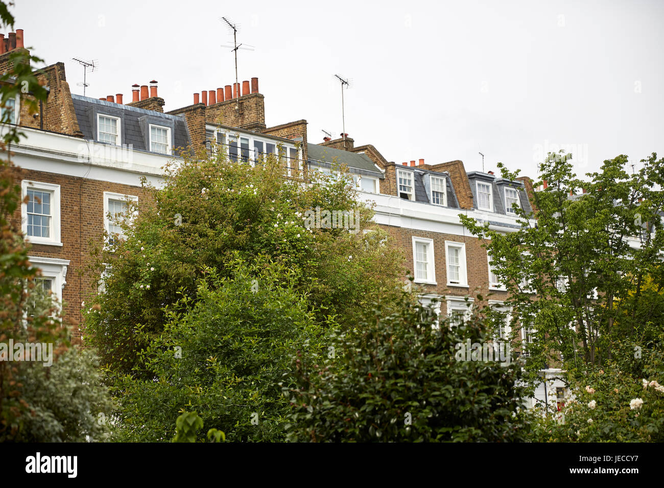Markham Square, London, UK Stock Photo - Alamy