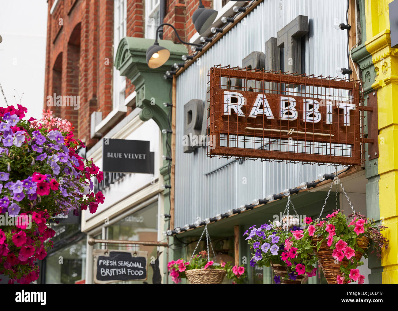 Rabbit london hi-res stock photography and images - Alamy