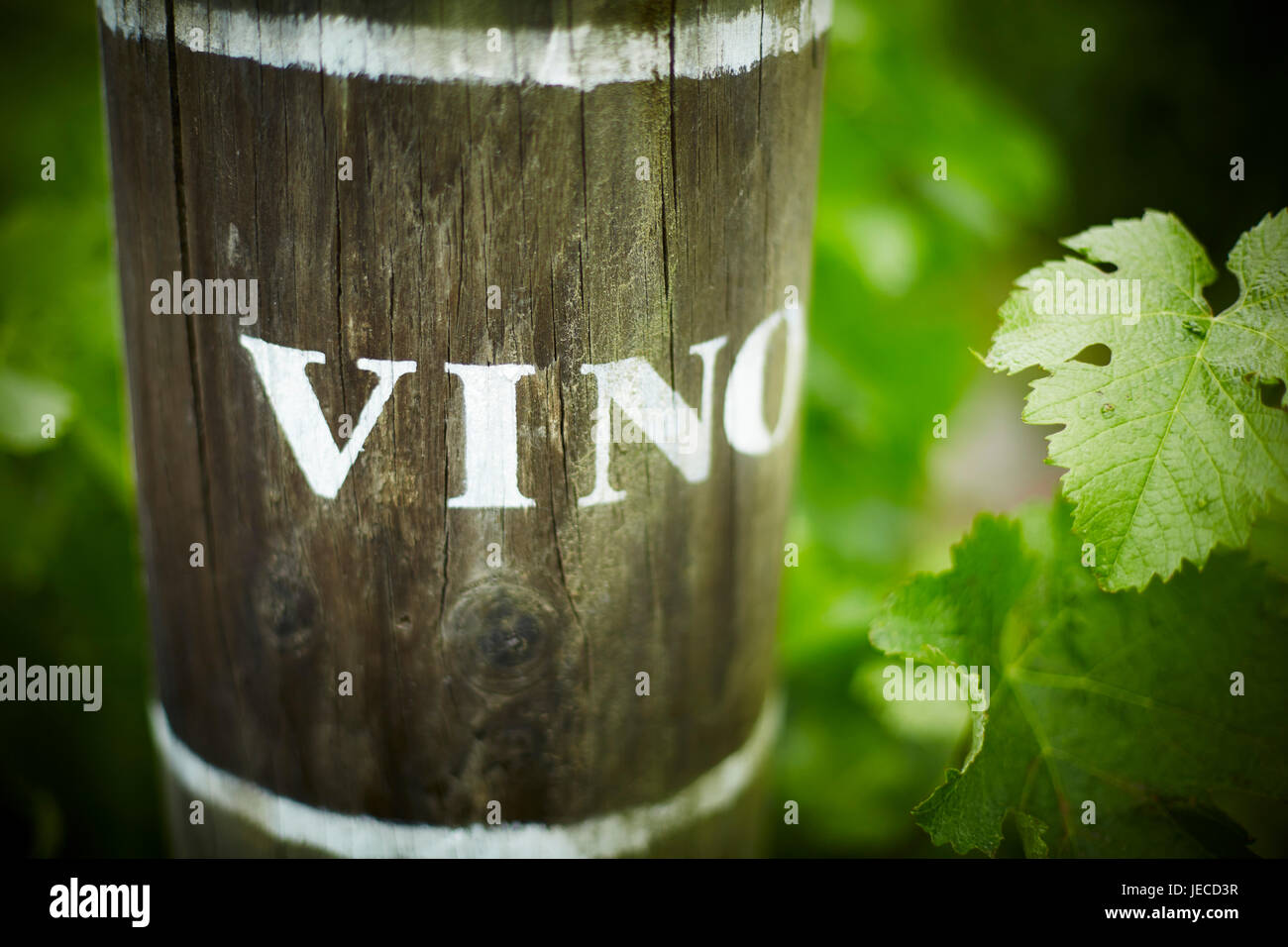 Crop markings hi-res stock photography and images - Alamy