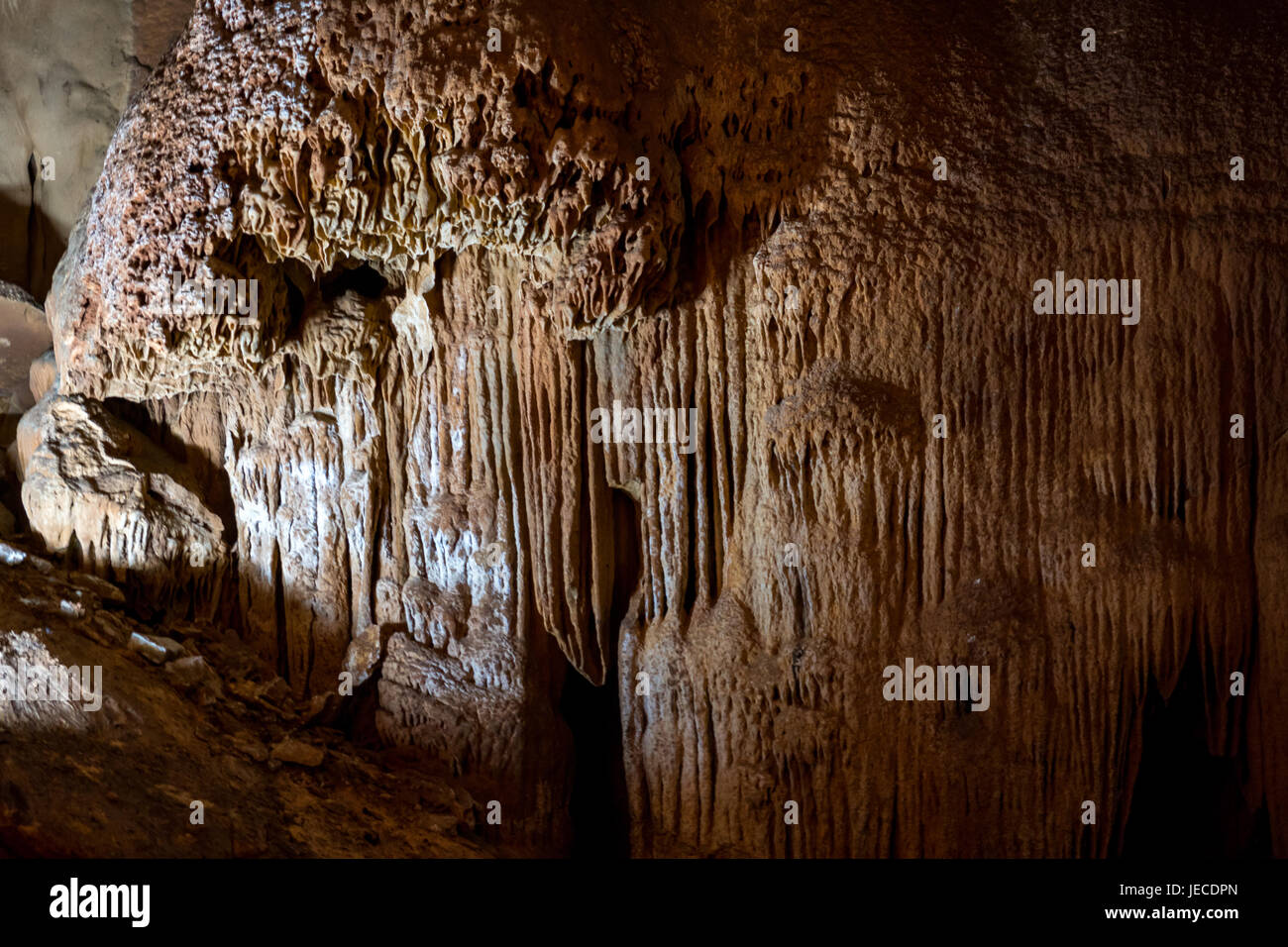 Carlsbad cavern bats hi-res stock photography and images - Alamy