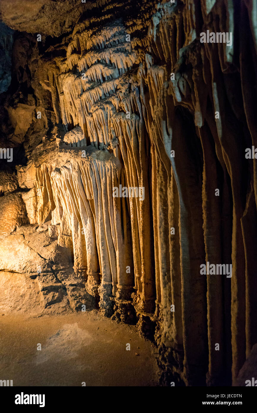 Carlsbad caverns bats hi-res stock photography and images - Alamy