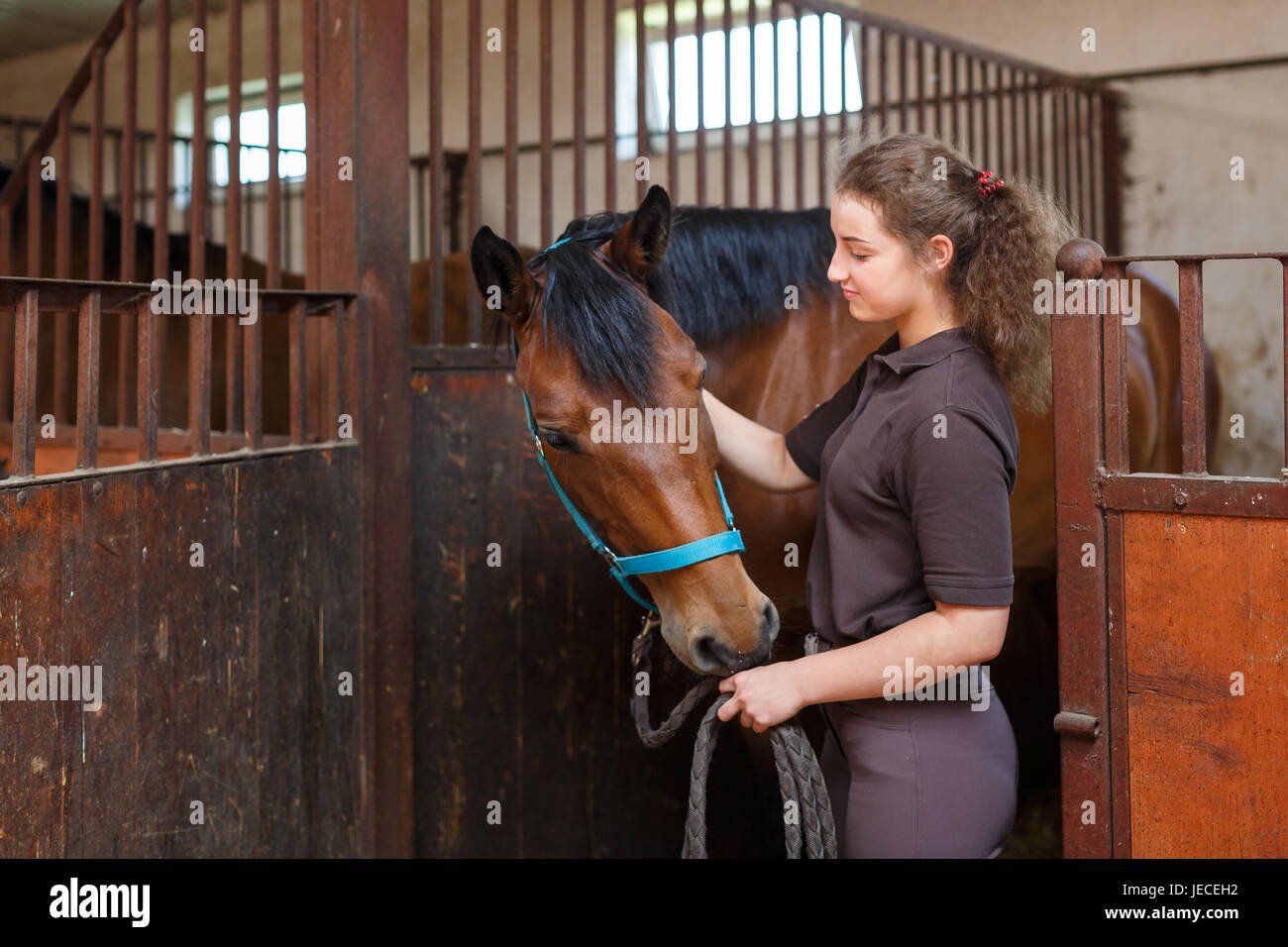 Girl riding a horse in a riding stable hi-res stock photography and ...