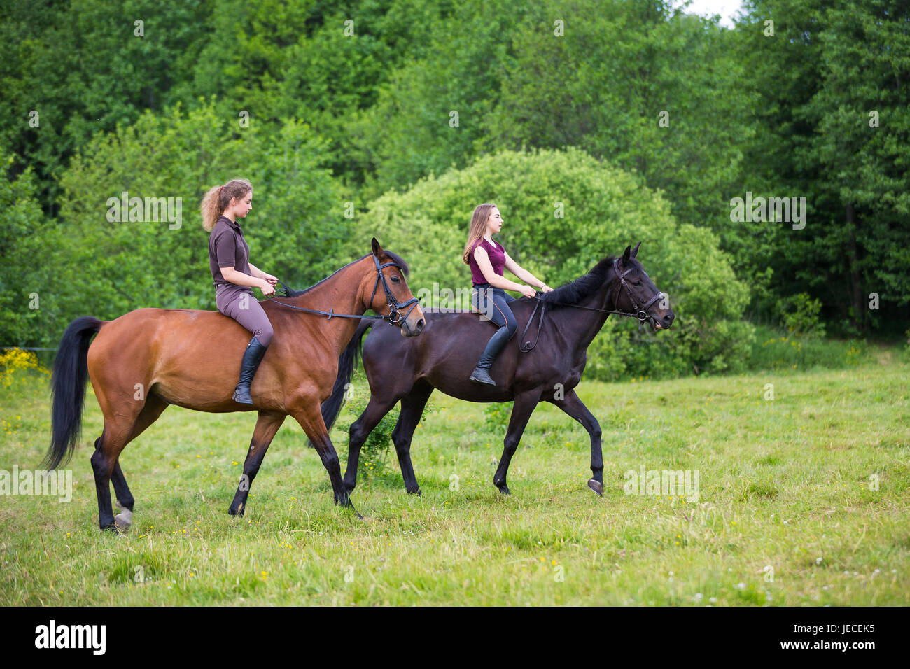 Two young horse riders in the woods in summer Stock Photo - Alamy