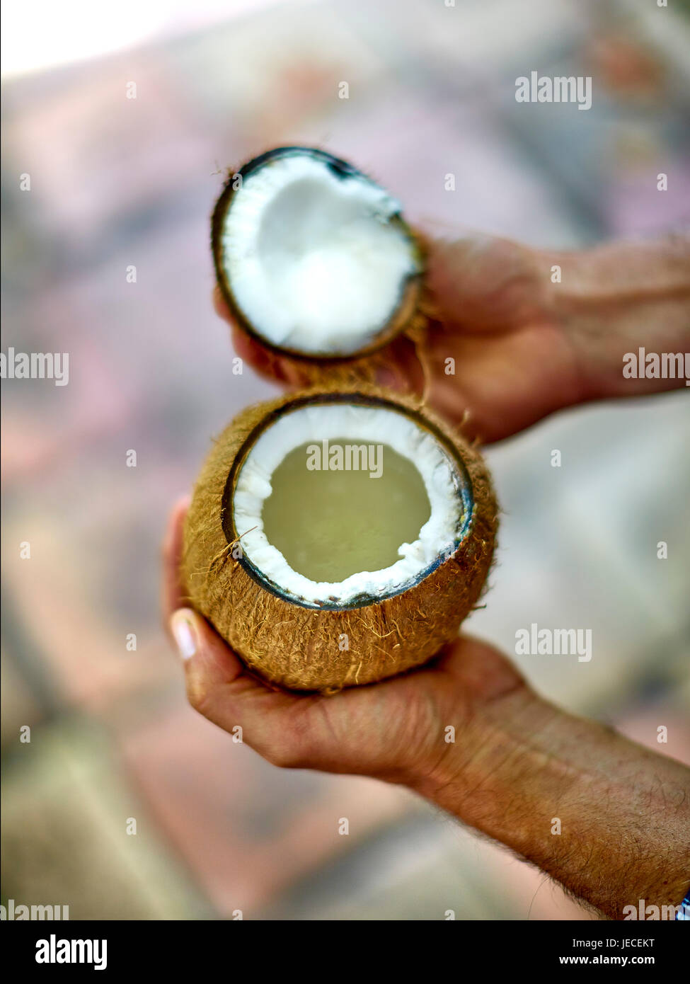 person cracking open fresh coconut Stock Photo - Alamy