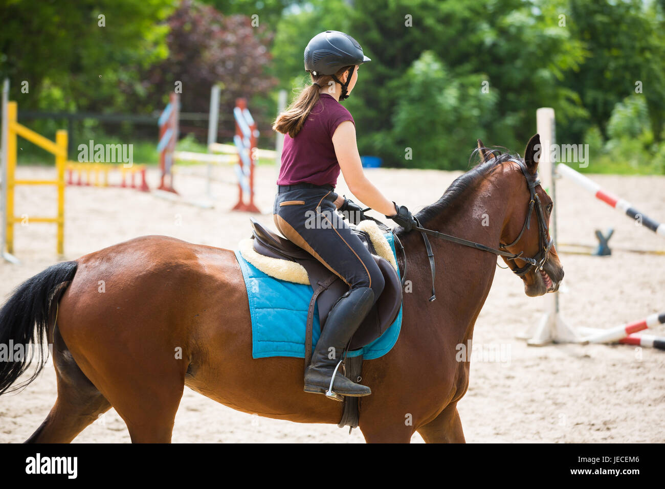 Horse rider is training in the arena in summertime Stock Photo - Alamy