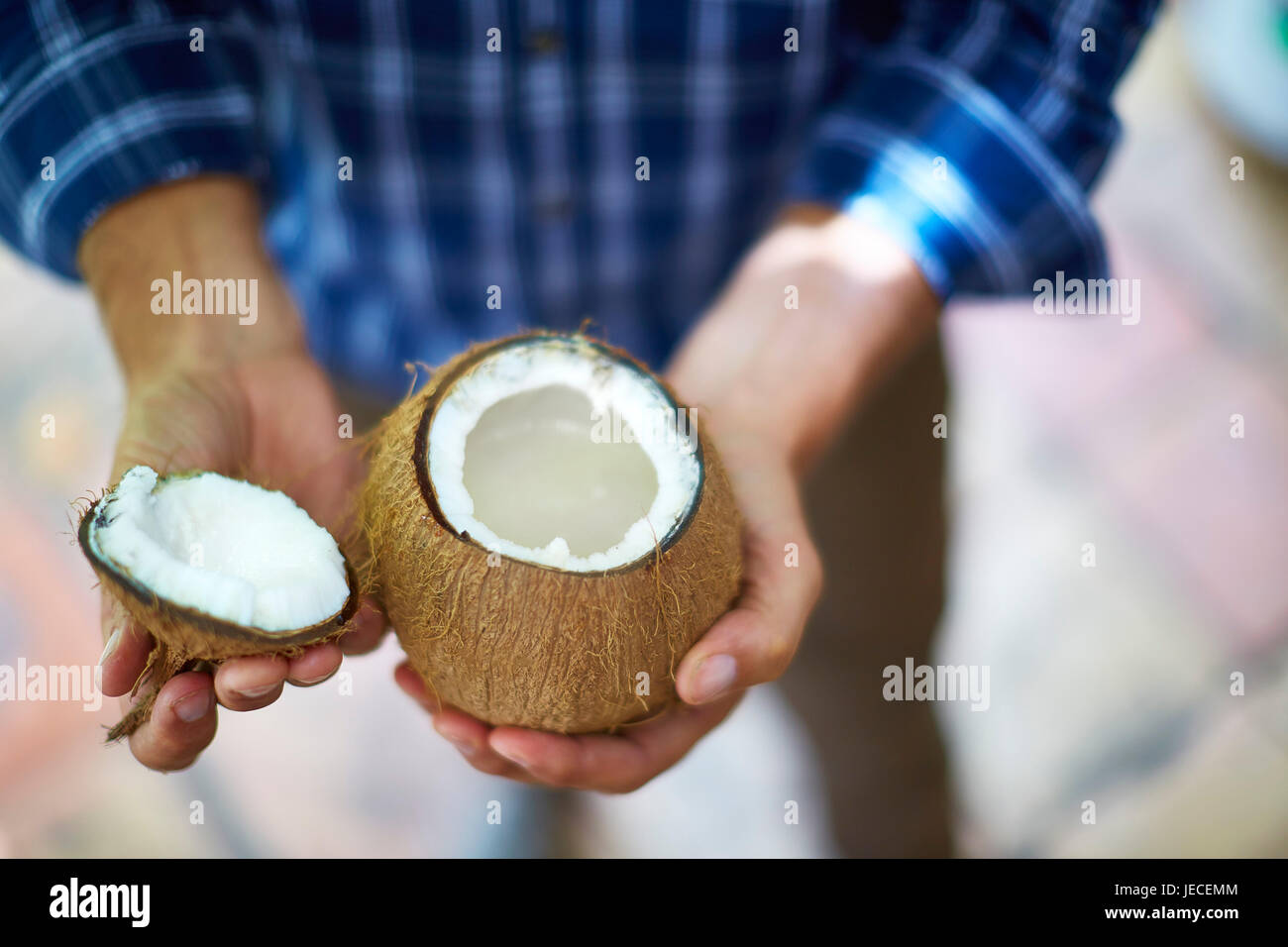 person cracking open fresh coconut Stock Photo - Alamy