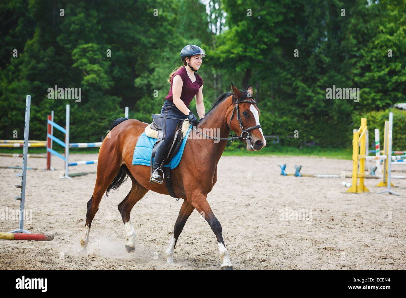 Horse rider is training in the arena in summertime Stock Photo - Alamy