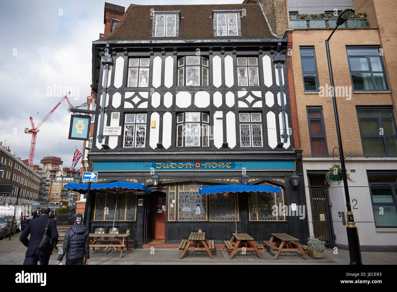 Tudor Rose, London, UK Stock Photo - Alamy
