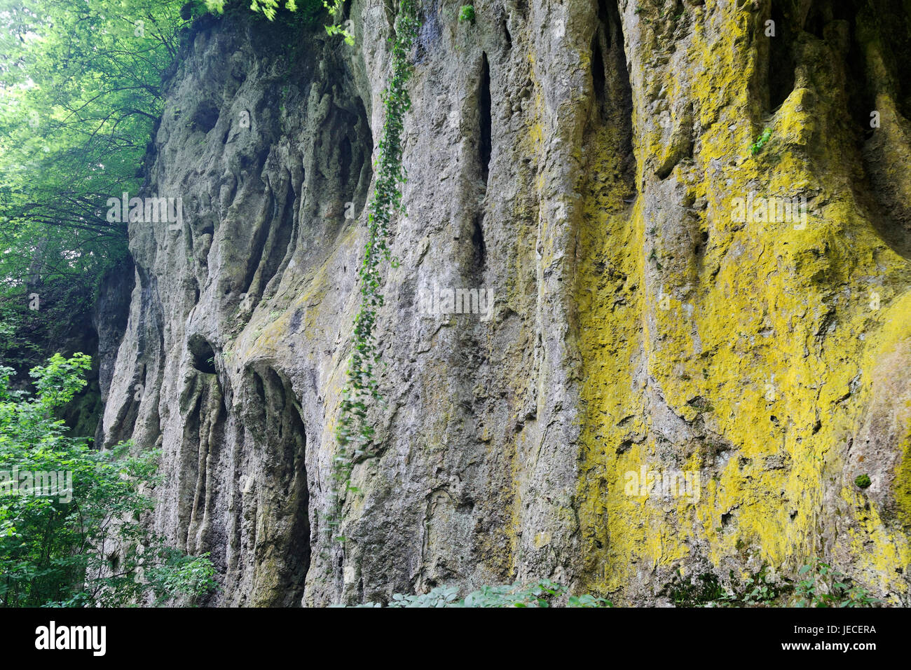 Jankovac Nature Park, Croatia Stock Photo - Alamy