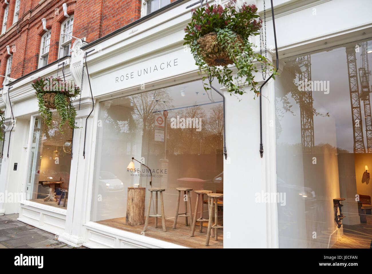 Rose Uniacke, London, UK Stock Photo - Alamy