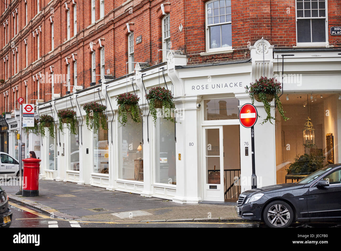 Rose Uniacke, London, UK Stock Photo - Alamy