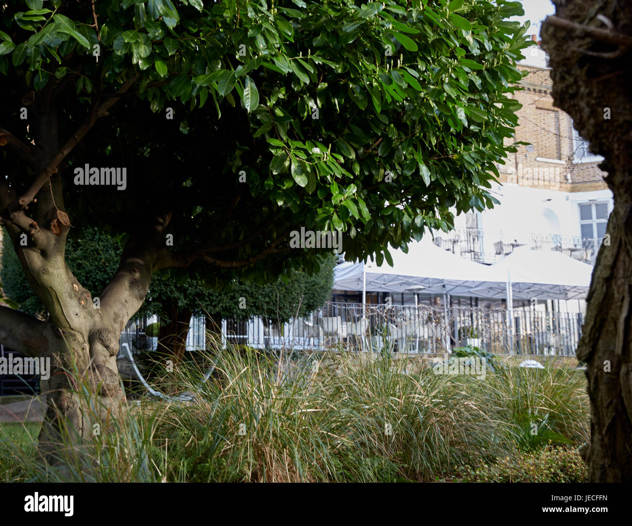 Bingham Hotel, London, UK Stock Photo - Alamy