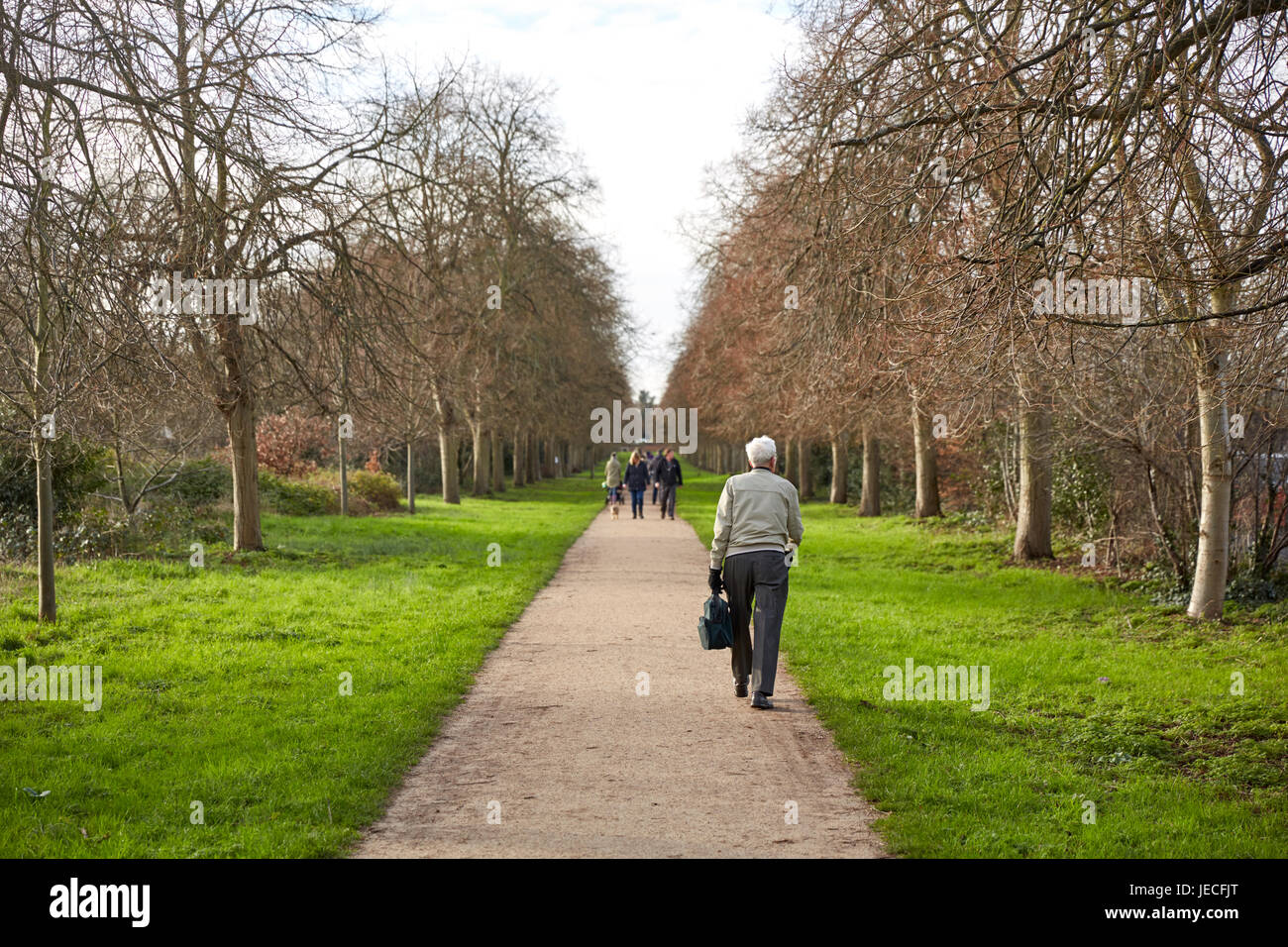 Ham Polo Club & Surrounding Area, London, UK Stock Photo - Alamy