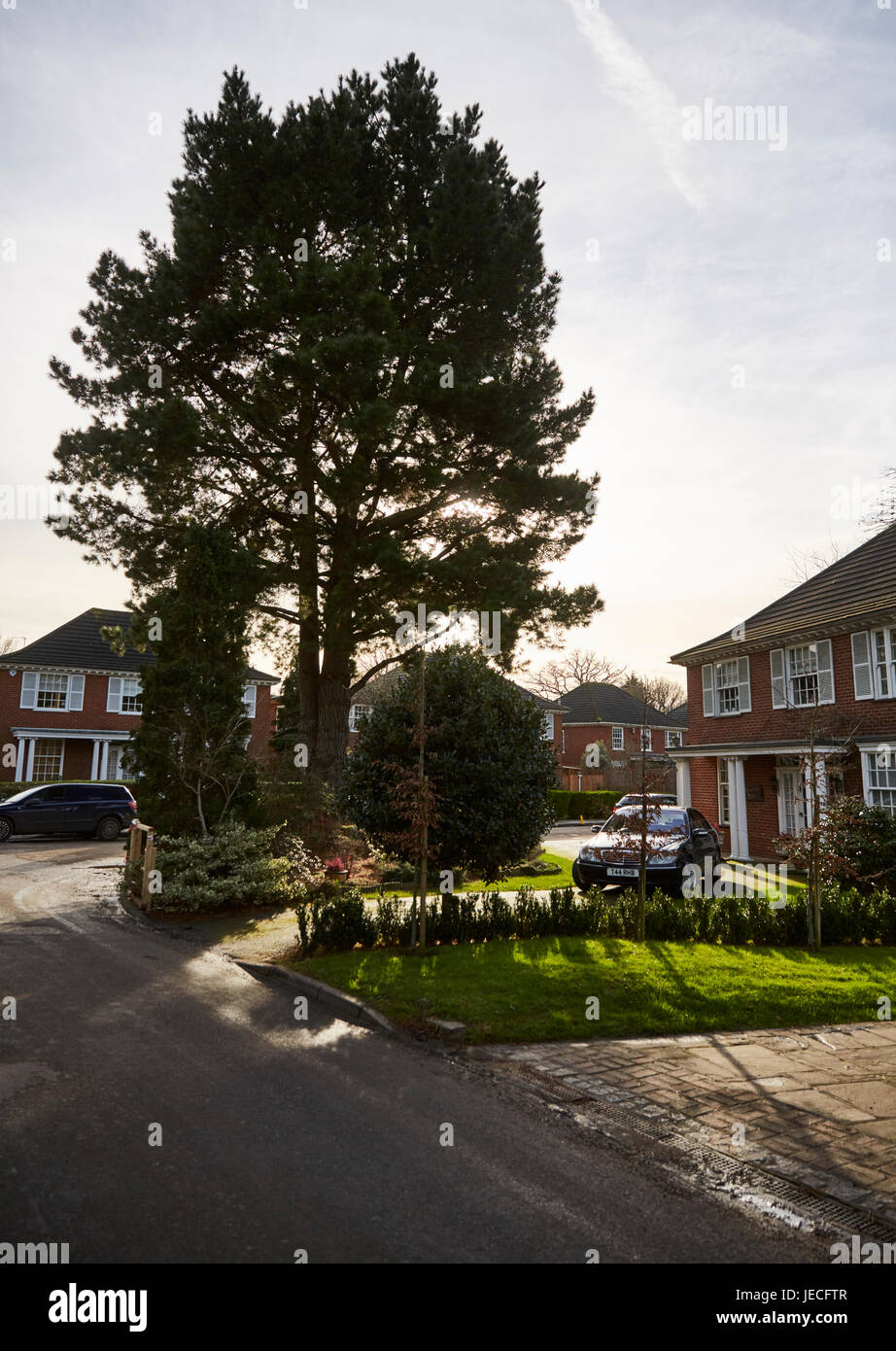 Richmond Golf Club & Sudbrook Ln, London, UK Stock Photo - Alamy