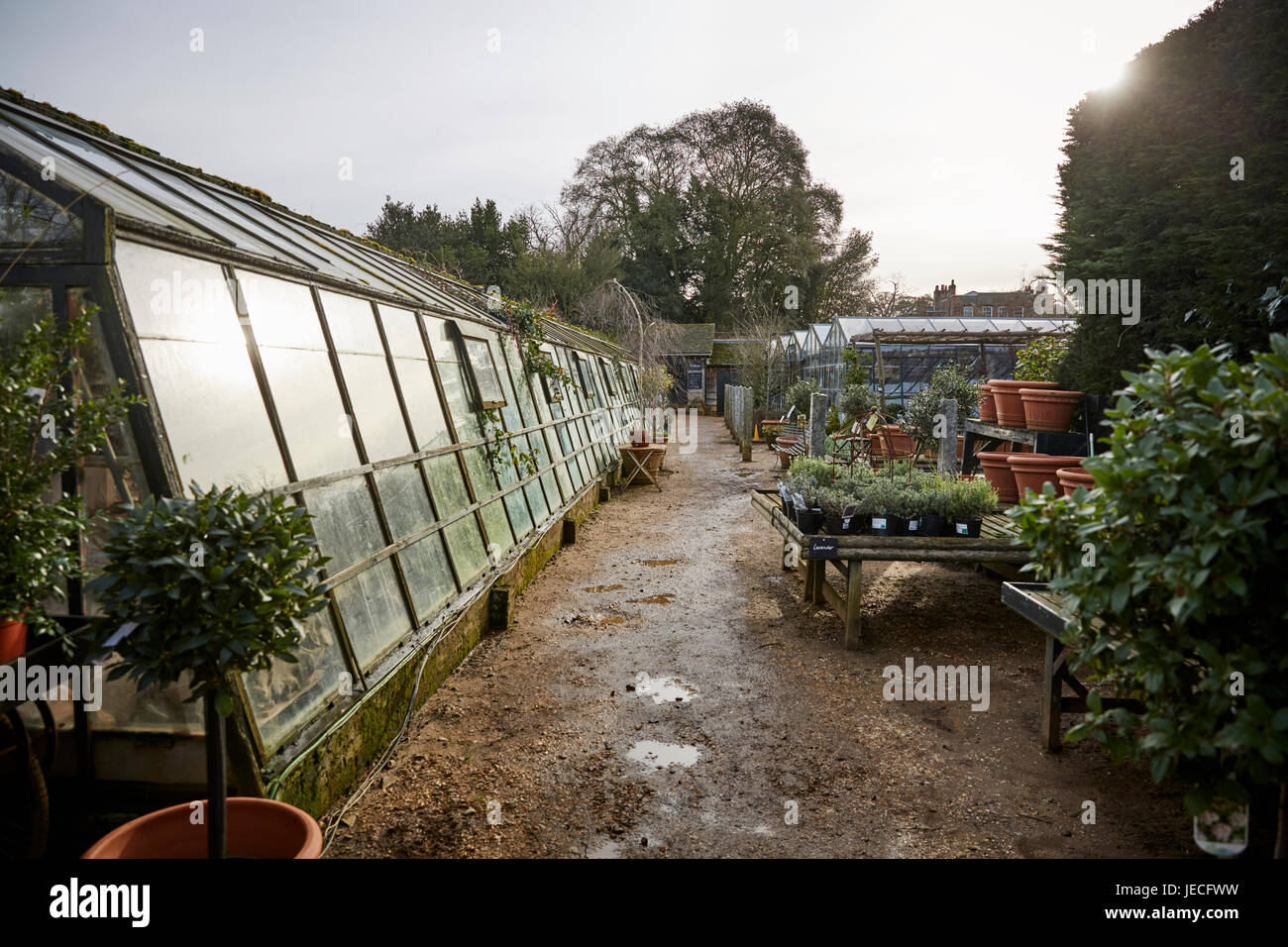 Petersham Nursaries, London, UK Stock Photo - Alamy