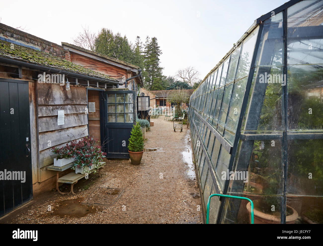 Petersham Nursaries, London, UK Stock Photo - Alamy