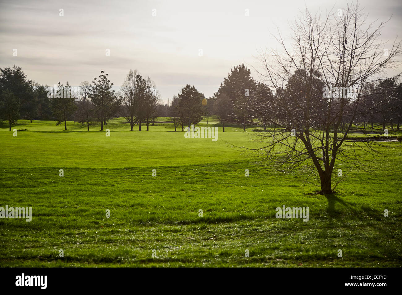 Richmond Golf Club & Sudbrook Ln, London, UK Stock Photo - Alamy