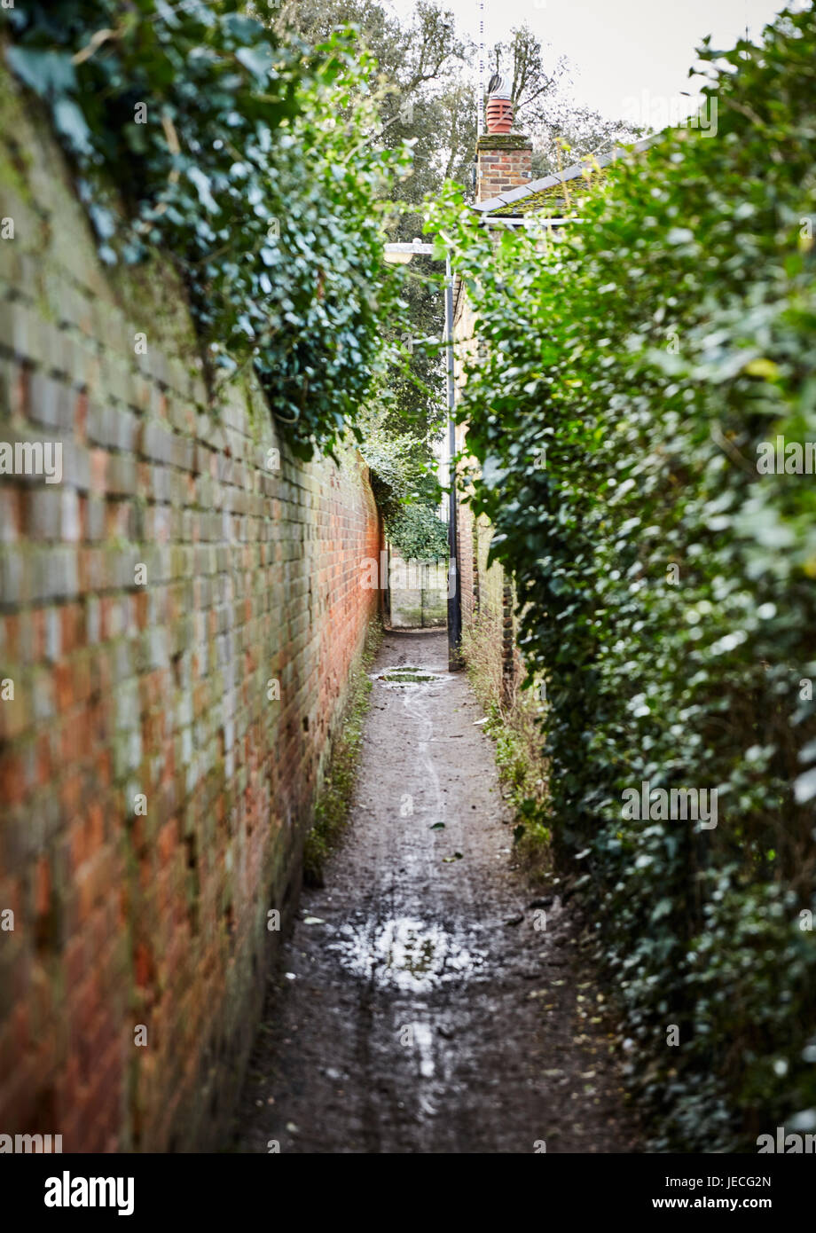 Petersham Nursaries, London, UK Stock Photo - Alamy